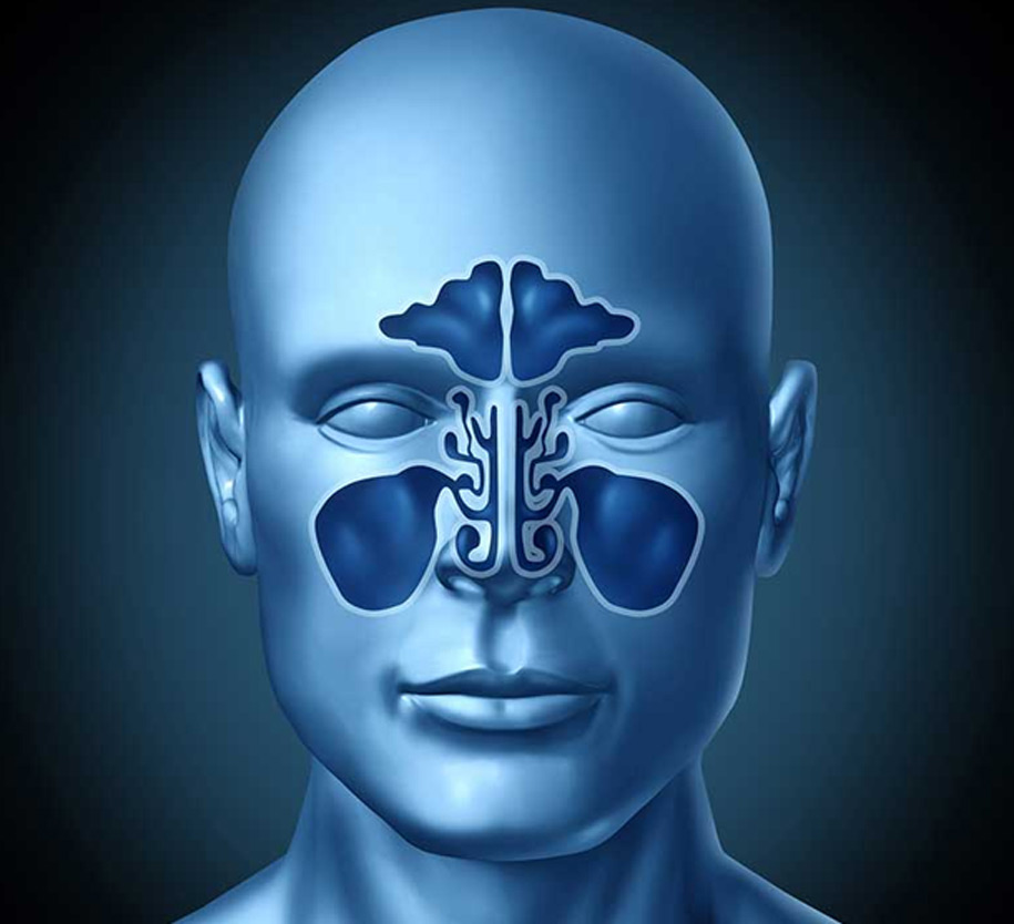 Deviated Septum | UCI Head and Neck Surgery - UCI ENT Doctors ...