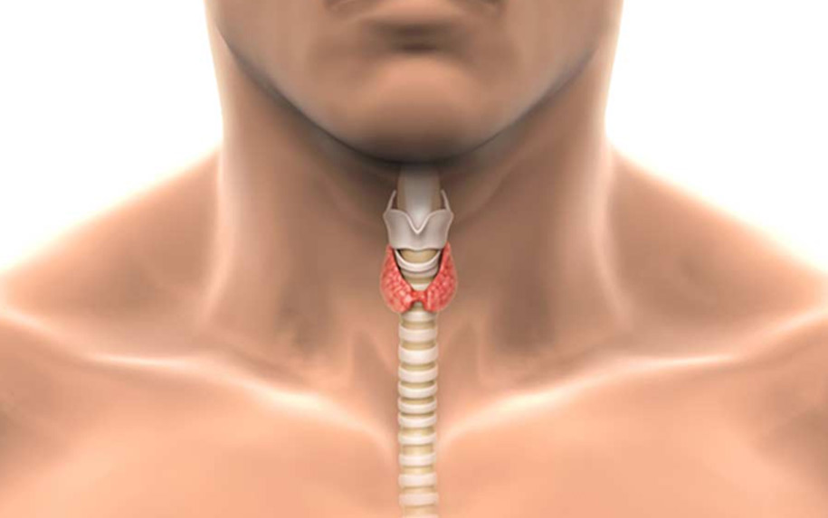 Hyperthyroidism | UCI Head and Neck Surgery - UCI ENT Doctors ...