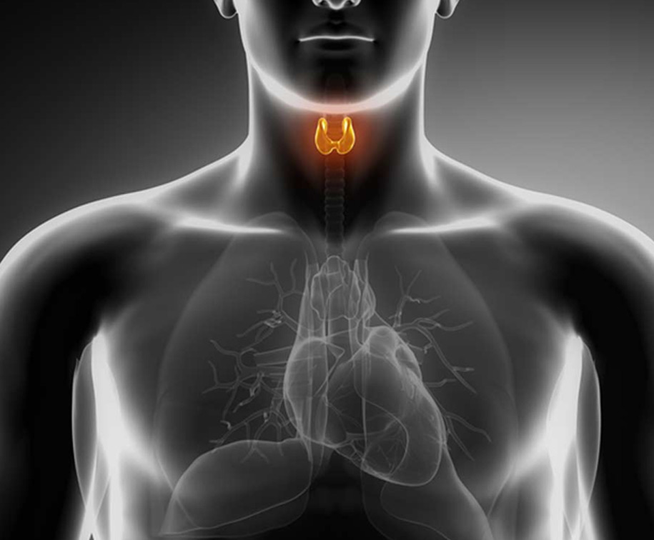 Hyperthyroidism | UCI Head and Neck Surgery - UCI ENT Doctors ...