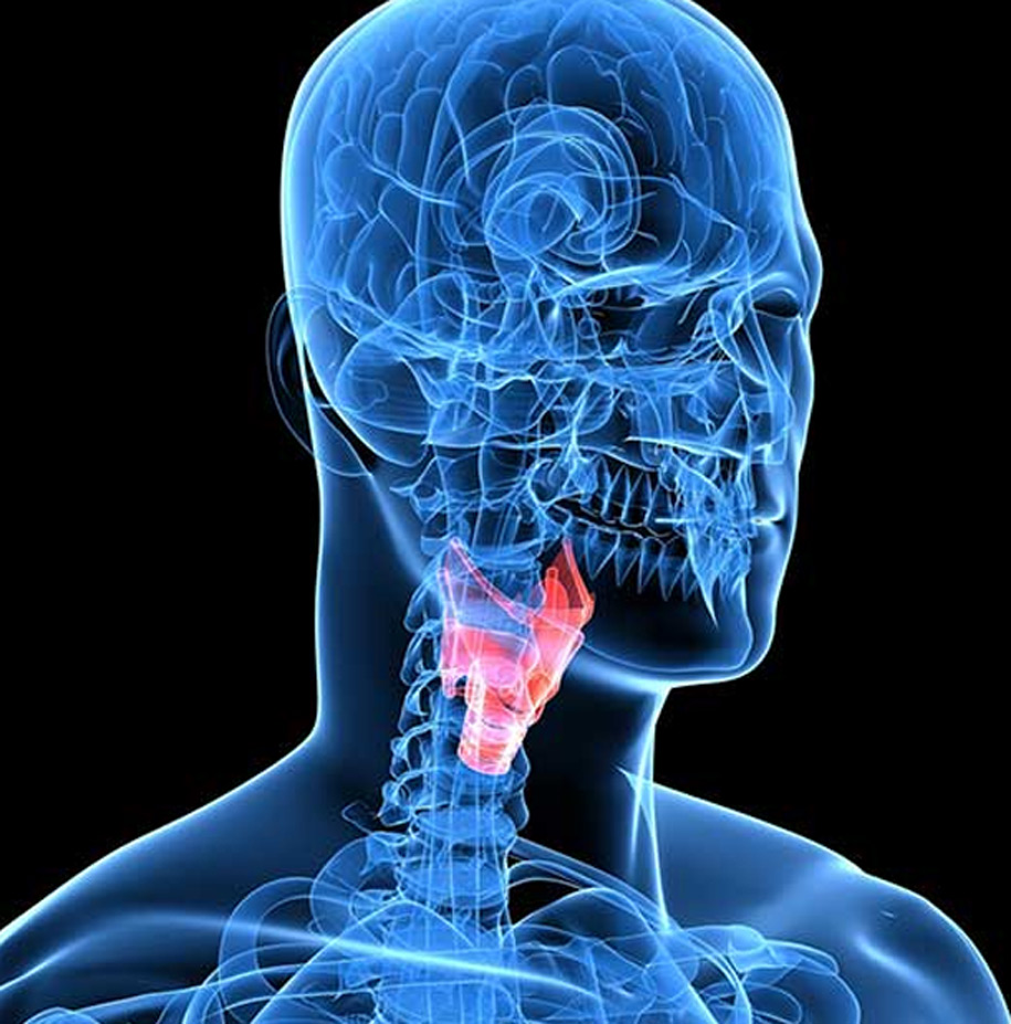 Laryngopharyngeal Reflux | UCI Head and Neck Surgery - UCI ENT Doctors ...