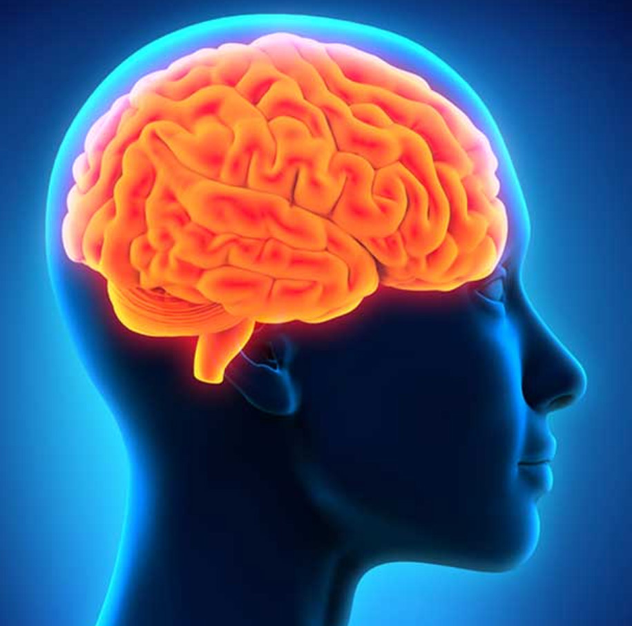 Skull Base Tumors | UCI Head and Neck Surgery - UCI ENT Doctors ...