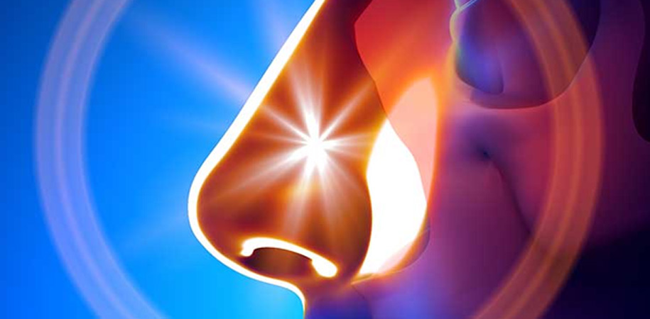 Smell and Taste Disorders | UCI Head and Neck Surgery - UCI ENT Doctors ...