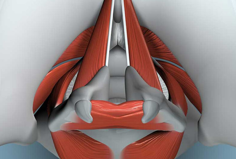 Vocal Cord Cancer | UCI Head and Neck Surgery - UCI ENT Doctors ...